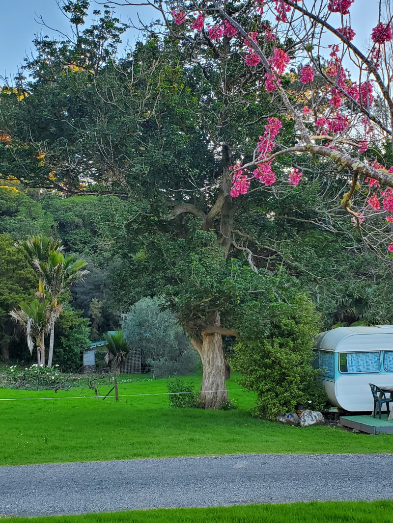 Dickson Holiday Park » VisitorPoint