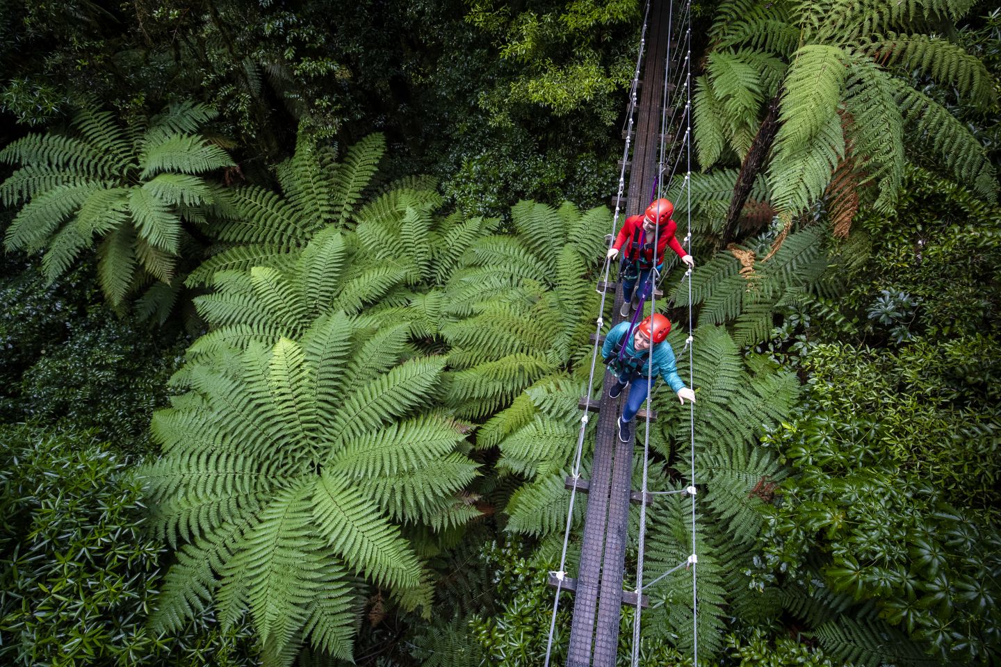 Rotorua Canopy Tours » VisitorPoint