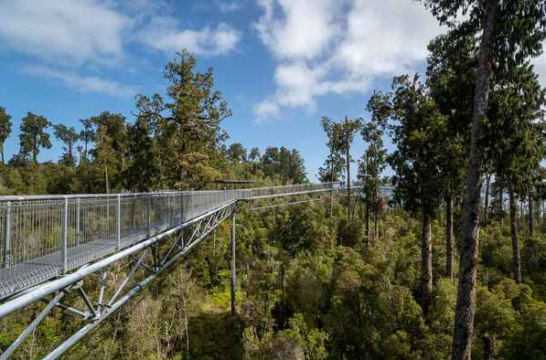 West Coast Treetop Walk & Cafe » VisitorPoint